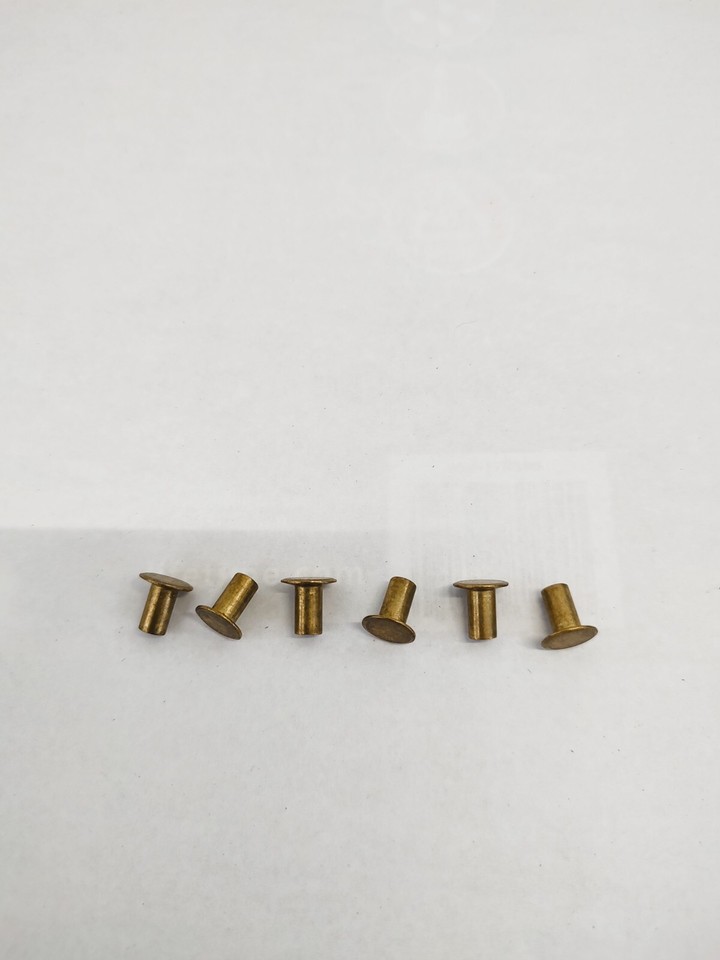 Cushman 800153 Plate Clutch Lining Rivet 6pcs | eBay