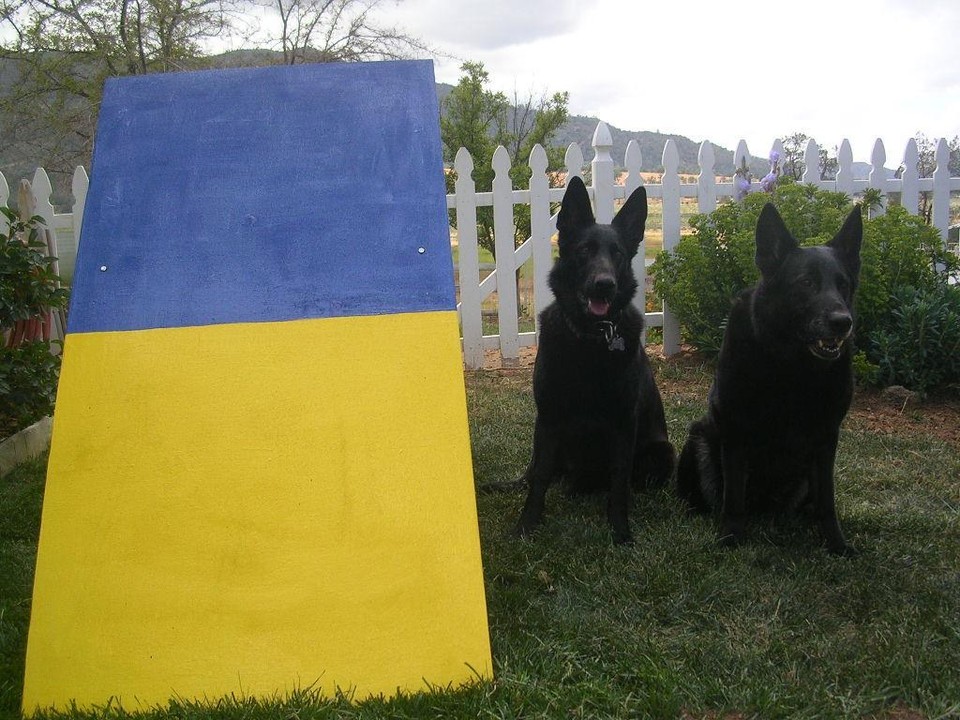 Dog Agility Equipment Mini Contact Trainer (Dog walk - A Frame/AFrame ...