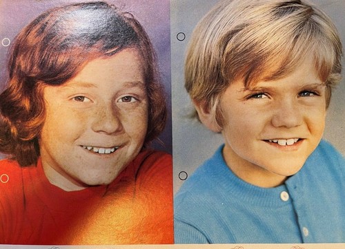 1972 Vintage Magazine Illustration Actors Danny Bonaduce & Brian ...