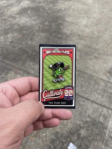 Houston Astros Swinging Orbit Hat Pin OS Fitted Up | eBay