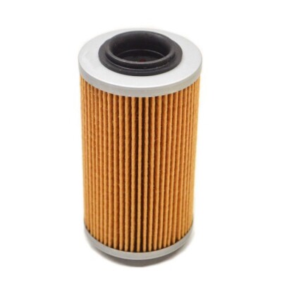 Oil Filter Sea-Doo Ski-Doo 1503 2002-2017 PWC 4-TEC 420956741 711956740 ...