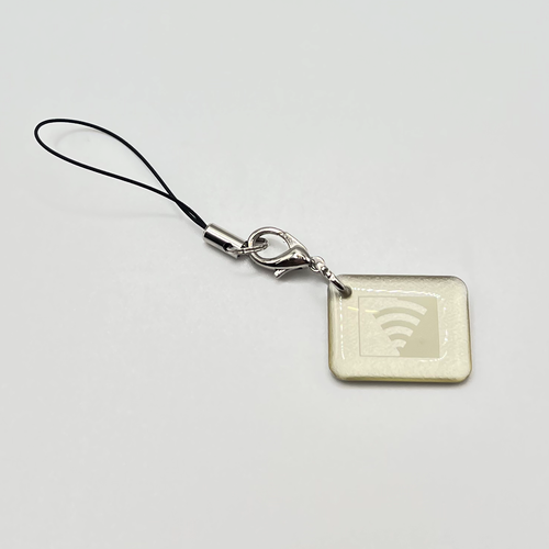 Visonic Proximity Tag x1 (Chicklet/ Prox Tag) Silver | eBay