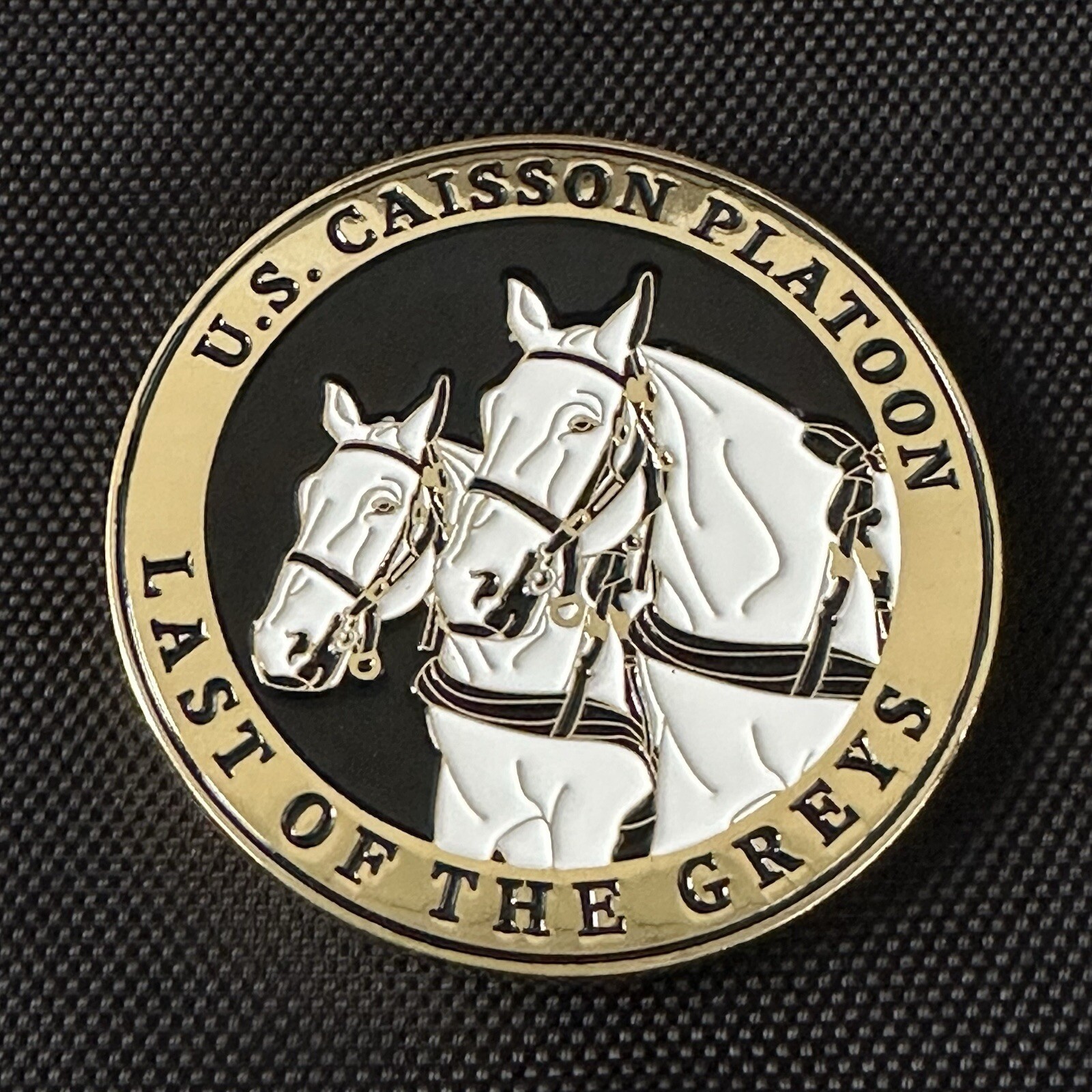 US Caisson Platoon 4th Squad Honor Guard LAST OF THE GREYS Challenge ...