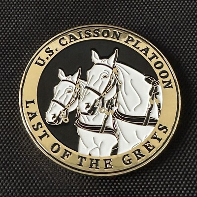 US Caisson Platoon 4th Squad Honor Guard LAST OF THE GREYS Challenge ...