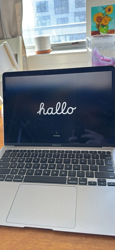 Apple MacBook Air A2179 (2020) Laptop 13" i5 1.1Ghz 16GB RAM 500gb SSD ...