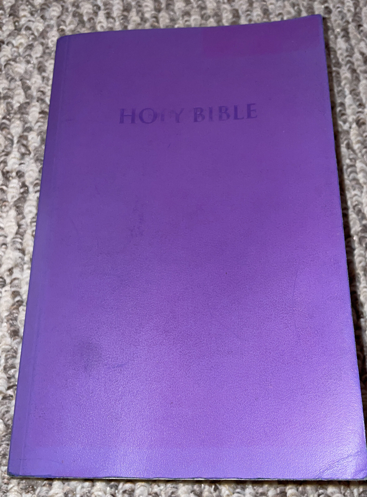 ICB Holy Bible, Leathersoft, Purple: International Children's Bible ...