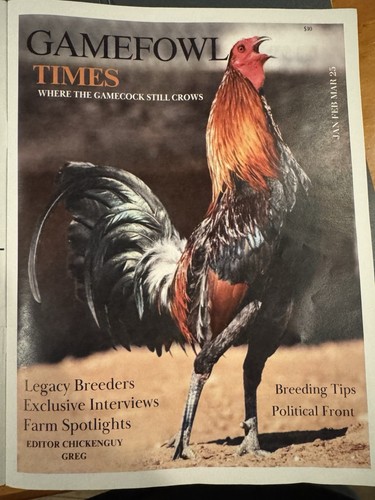 8+ SHOWME LARRY BLEVINS BROWNRED LINE FERTILE GAMEFOWL HATCHING EGGS | eBay