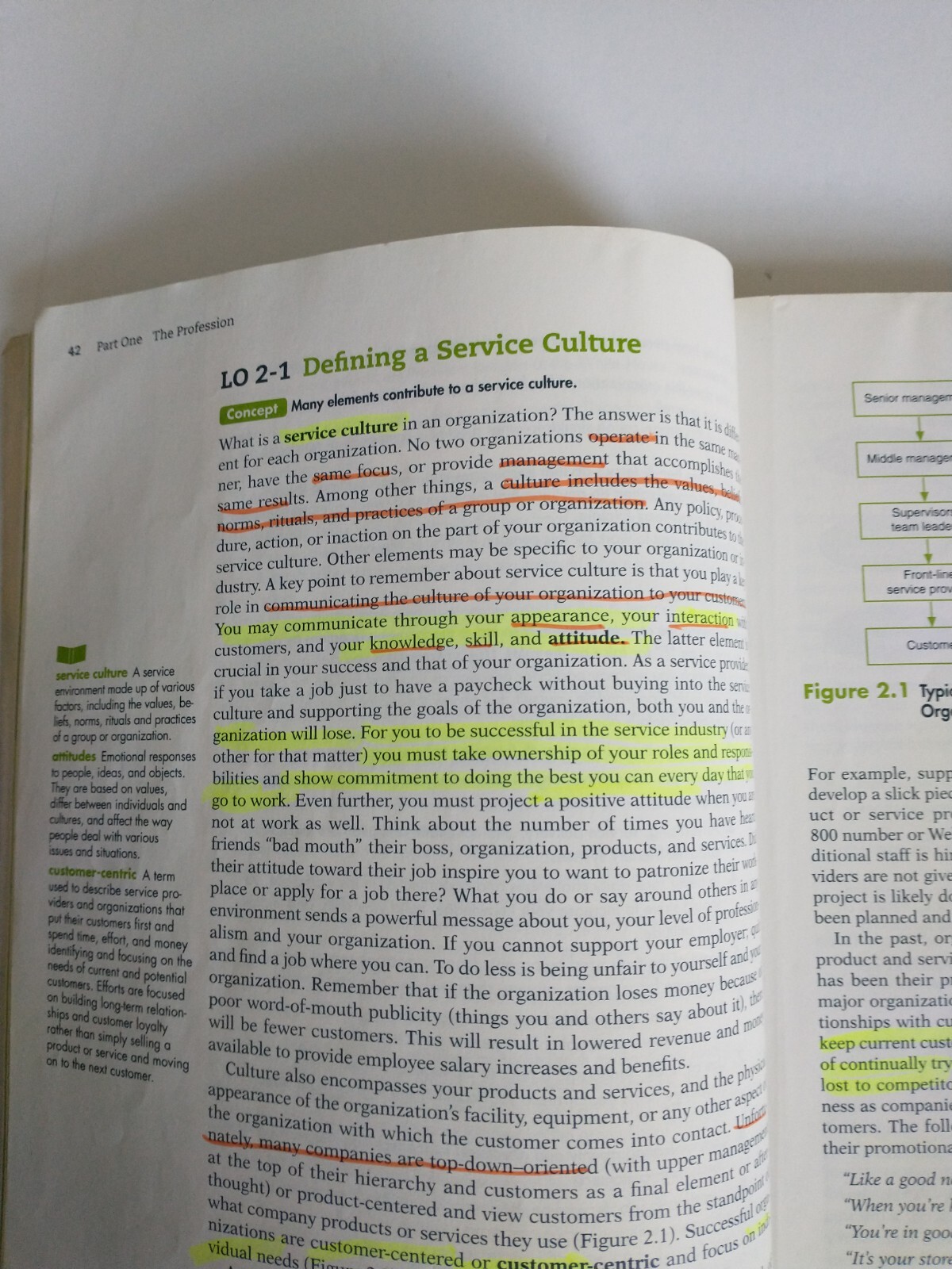 Customer Service Skills for Success by Robert W. Lucas (2011, Trade ...