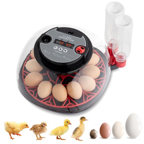 12 Eggs Incubator Automatic Turning Chicken Hatcher Incubators for ...