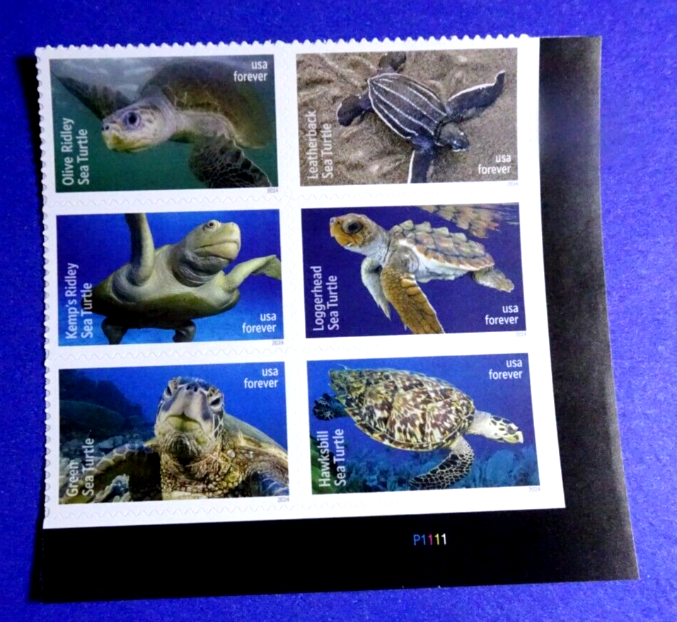 US 5865-5870 PROTECTED SEA TURTLES 2024 PANE PLATE# BLOCK OF 6 (F ...