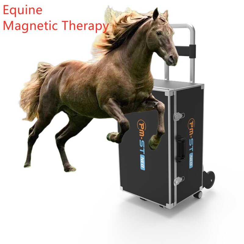 PMST Double LOOP Pain Relief PEMF Physio Magneto Human Magnetic Therapy ...