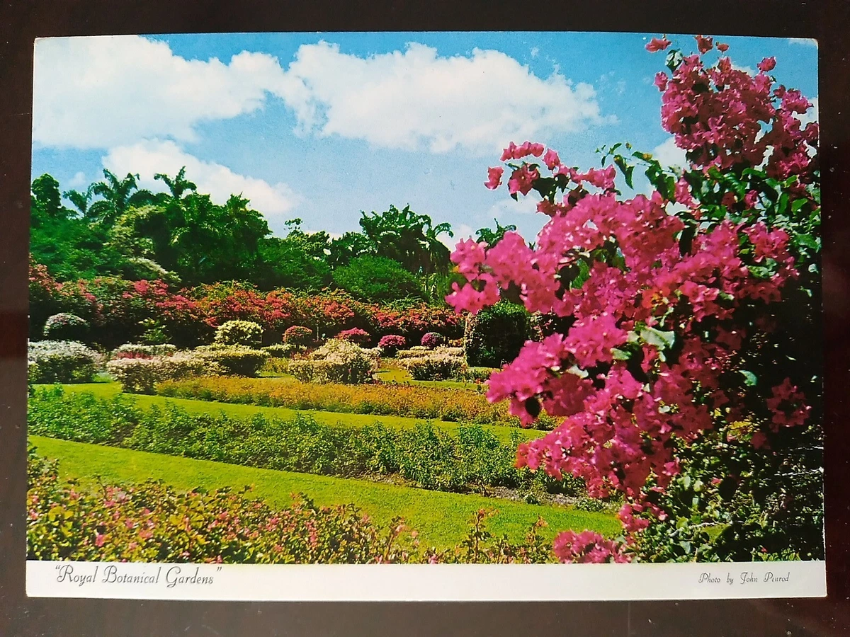 Hope Botanical Gardens Jamaica | Fasci Garden