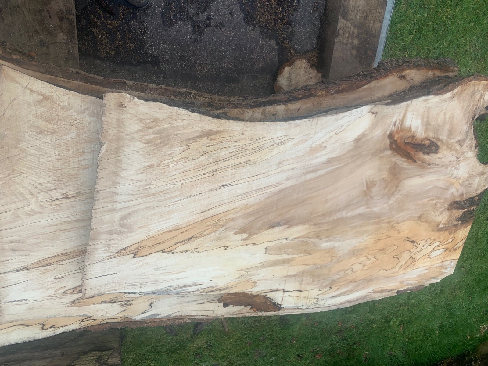 Spalted Horse Chestnut Wood Slabs for sale | eBay UK