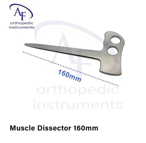 Muscle Dissector 160mm Stainless Steel Spinal Orthopedic Surgical ...