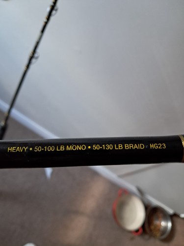 3 offshore rods - 2 penn carnage and 1 star rod | eBay