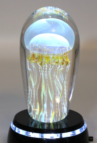 Beautiful NOS Rick SATAVA Moon JELLYFISH Art Glass Paperweight | eBay