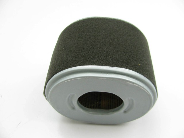 Hastings Oval Air Element AF1168 for sale online | eBay