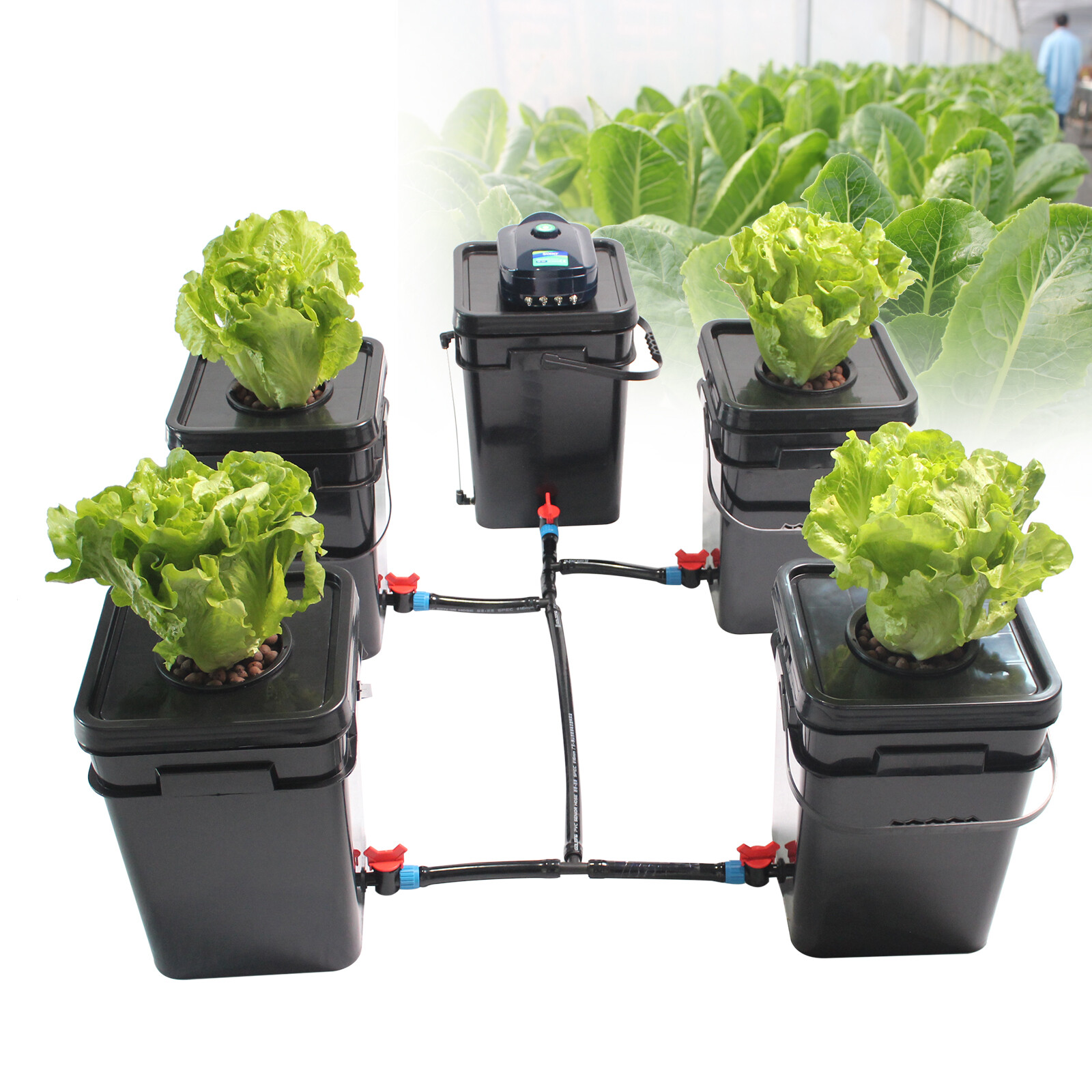 5 POTS 20L Hydroponics Systems Deep Water Culture System Square Grow ...