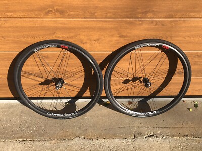 Wheels & Wheelsets - Campagnolo Proton - Nelo's Cycles