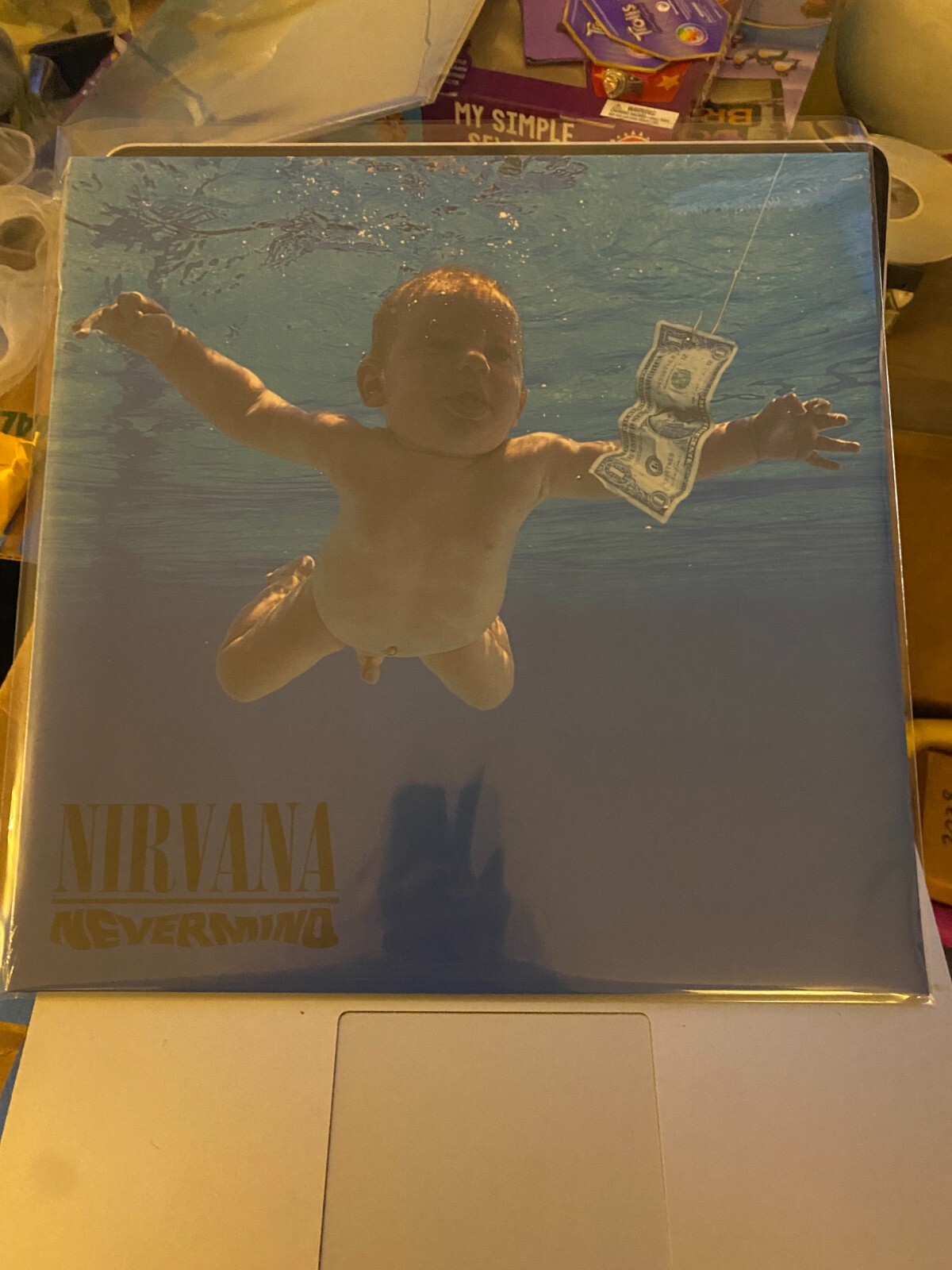 Nirvana *Nevermind *LP record *NEW *2015 *DGC *424 425-1 *180 gram *ALT *GRUNGE 720642442517 | eBay