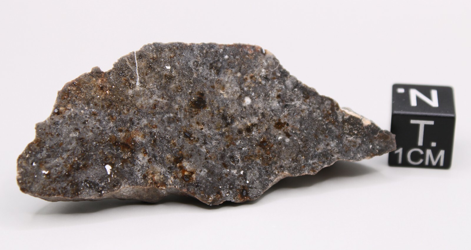 NWA 13788 Meteorite LUNAR Impact melt breccia endcut 11.6g w metal from ...