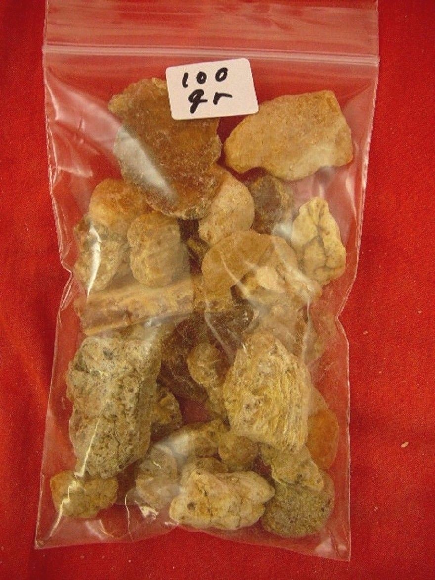 (k-4040) 100 g Rare Kauri tree Gum chips copal Amber New Zealand Tane ...