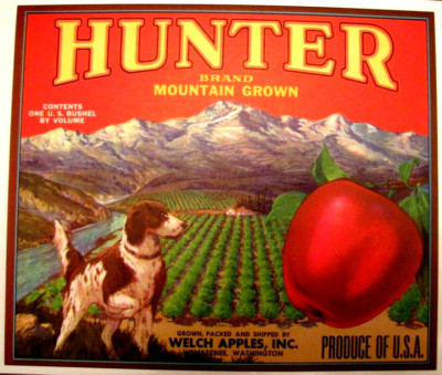 Original HUNTER apple crate label Wenatchee, Washington pointer dog ...