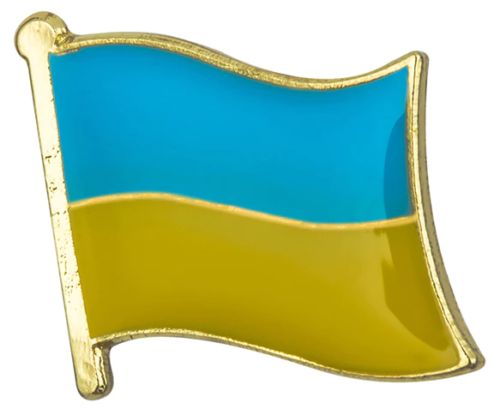 Ukraine Ukrainian Diplomat Brooch Country Flag Lapel Pin Badge USA | eBay
