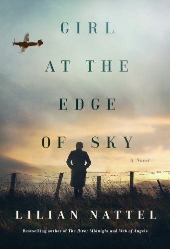 Girl at the Edge of Sky 9780735277045| eBay