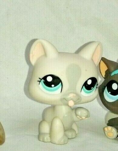Chat Chartreux gris blanc yeux vert # 1472 LITTLEST PET SHOP Petshop ...
