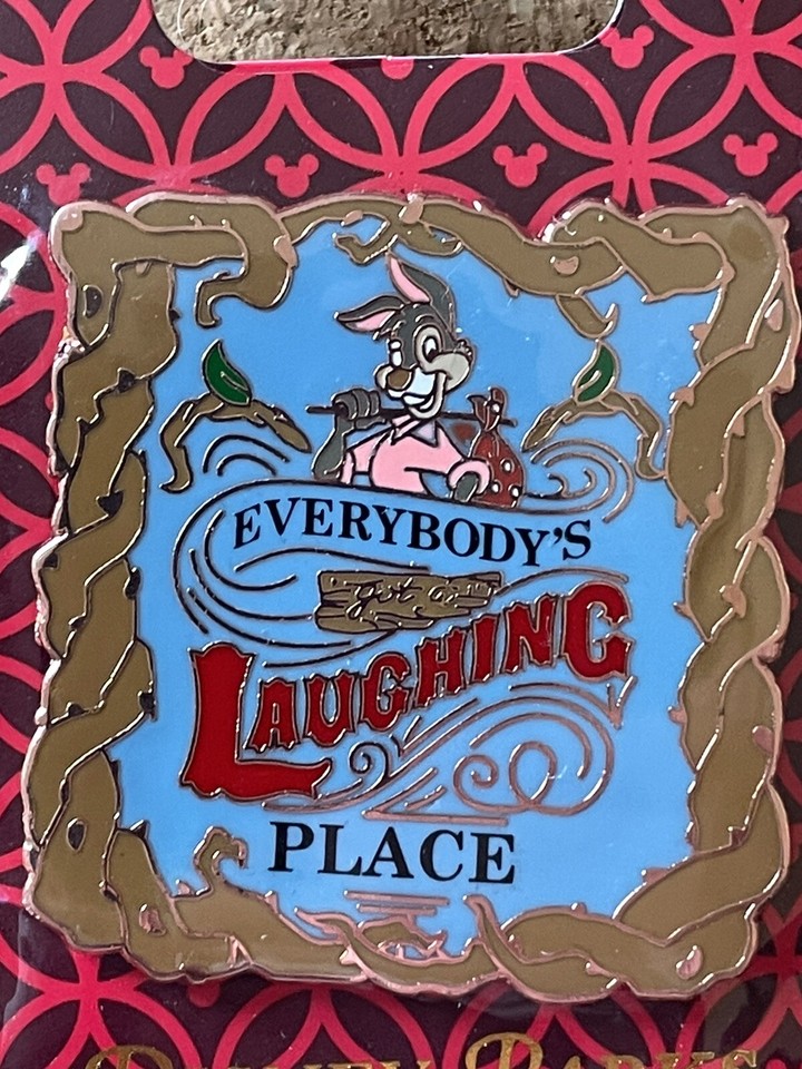 Disney Splash Mountain Everybody's Laughing Place Pin - Brand New On ...
