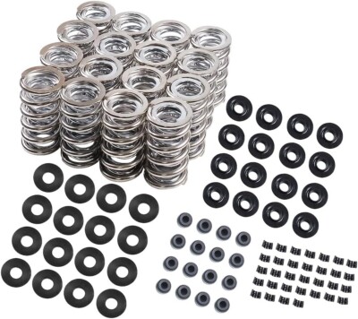 Dual Valve Spring Kit .660" for Chevrolet LS1 LS2 LS3 LS4Steel Titanium ...