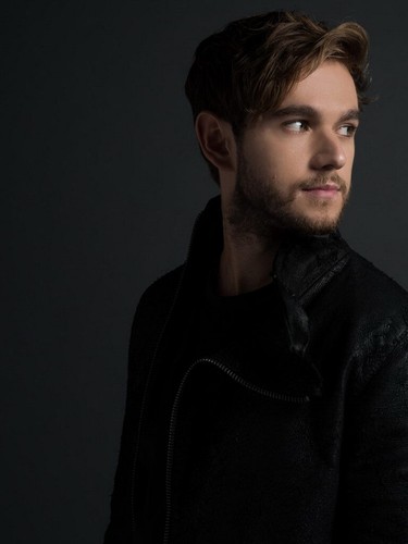 V8598 Zedd Super Star Beard Portrait Limited DJ Dance Music WALL POSTER ...