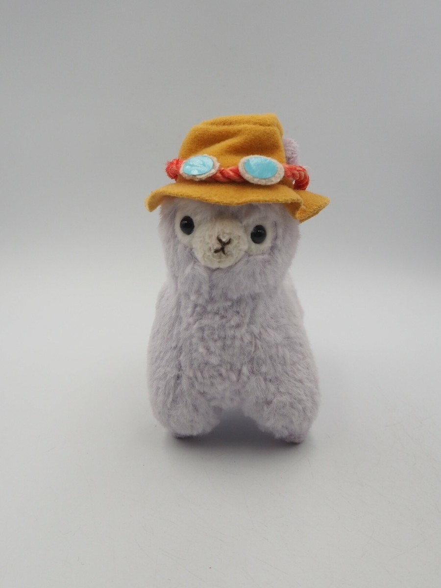Alpacasso Pirate