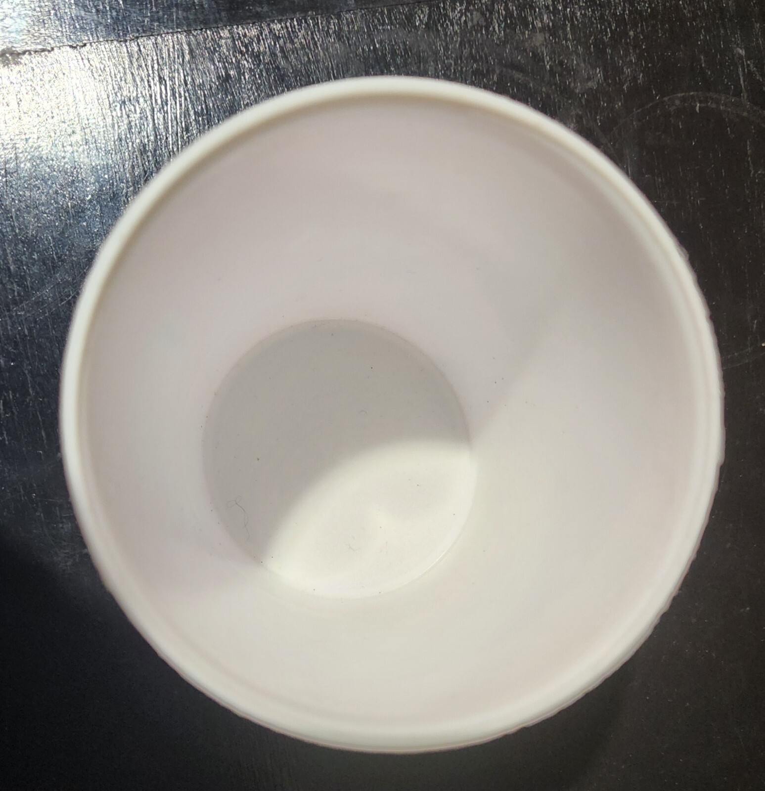 Tim Hortons NHL Mascot Cup Plastic 2019 Hunter - Edmonton Oilers | eBay