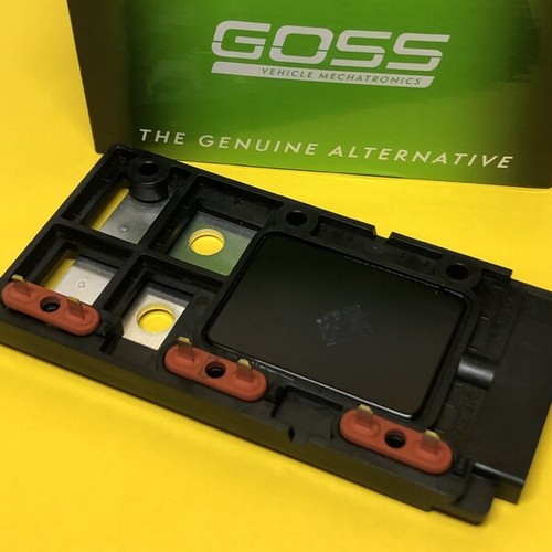 DFI module for Holden Delphi DS1004 Goss IM021 | eBay Australia