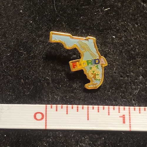 SMALL Florida FL Souvenir State Lapel Pin Hat Vest Tie Tack resin gold ...