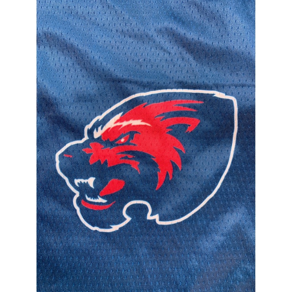 BLATANT Kids Athletic Basketball Shorts Blue Lion Logo Size AS ...