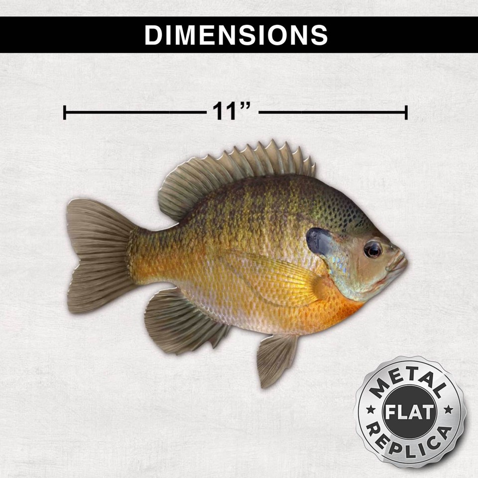 Realistic Bluegill Fish Metal Replica 2D Wall Mount Wildlife Art Cabin ...