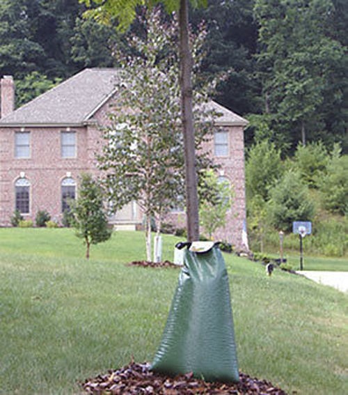 8PK Genuine Treegator 20 Gallon Slow Release Tree Irrigation Watering ...