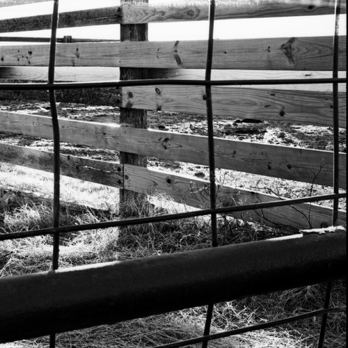 Kodak Professional Technical Pan 4415 - Black & white print film 8 x 10 ...