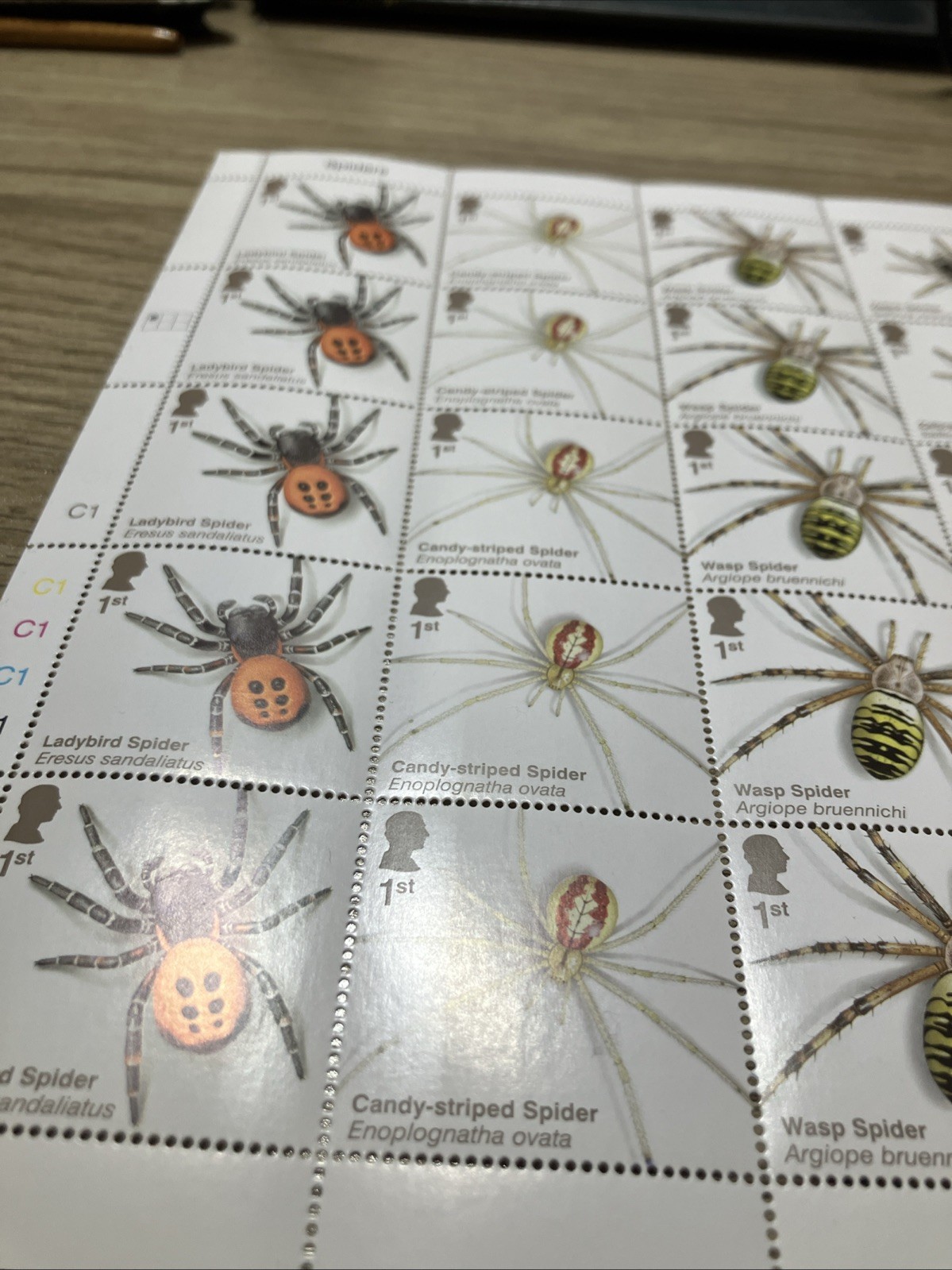 Royal Mail 2024 Spiders 1st Class Stamps Sheet of 25 MNH, Mint