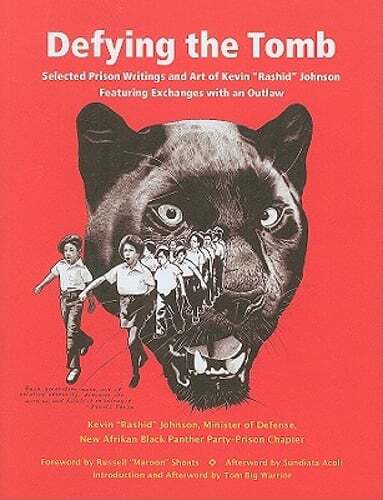 Defying the Tomb by Kevin Rashid Johnson: Used 9781894946391| eBay