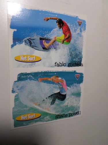 RARE VINTAGE DOUBLE SHANE POWELL&FABIO GOUVEIA FUTERA 1994 ASP SURF ...