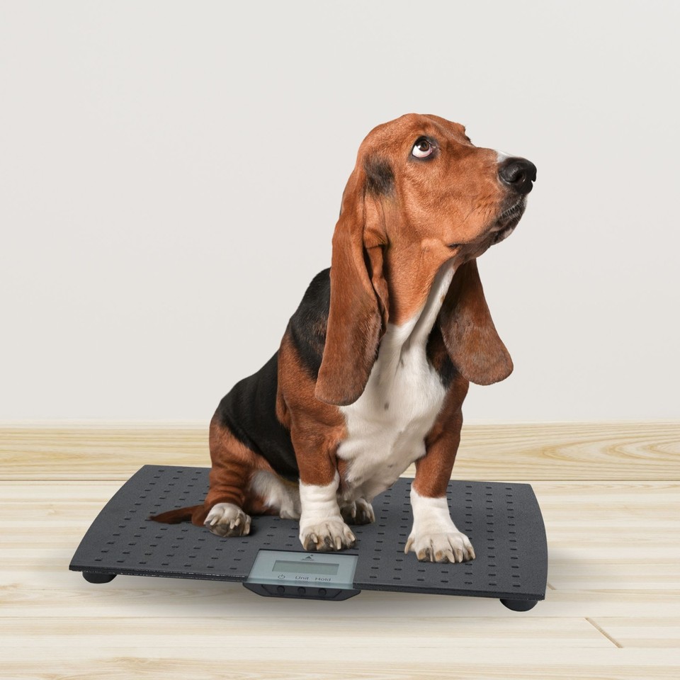 Redmon Pet Large Non-Skid Rubber Precision Digital Pet Weight Scale ...
