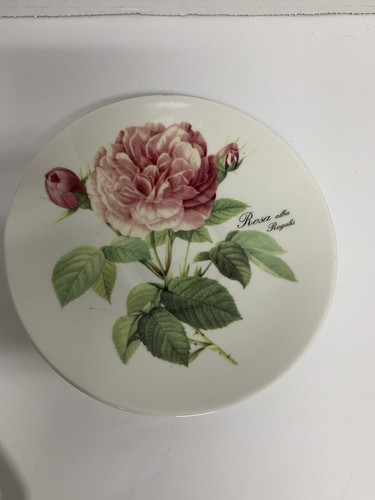 Roy Kirkham English Fine Bone China Redoute Roses Large 7" Saucer | eBay