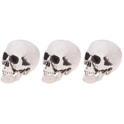 3 Pieces Halloween Horror Party Decorations Props Skull Ornament | eBay UK