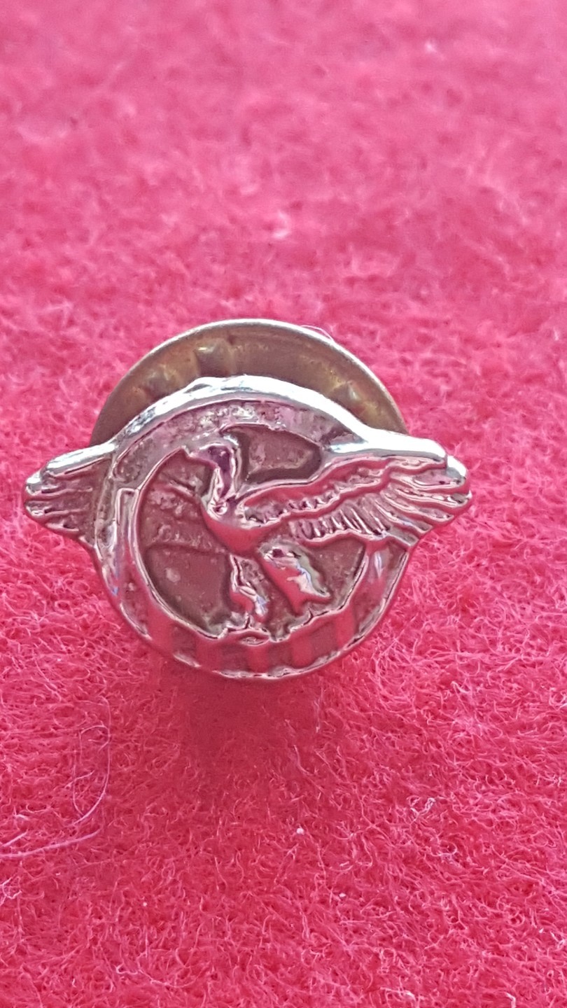 Vintage Military Militaria Ruptured Duck WWII Pin | eBay