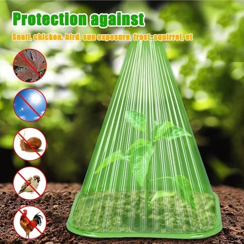 Garden Plant Cloche Seedling Protection Plastic Frost Cone Covers (Pack ...
