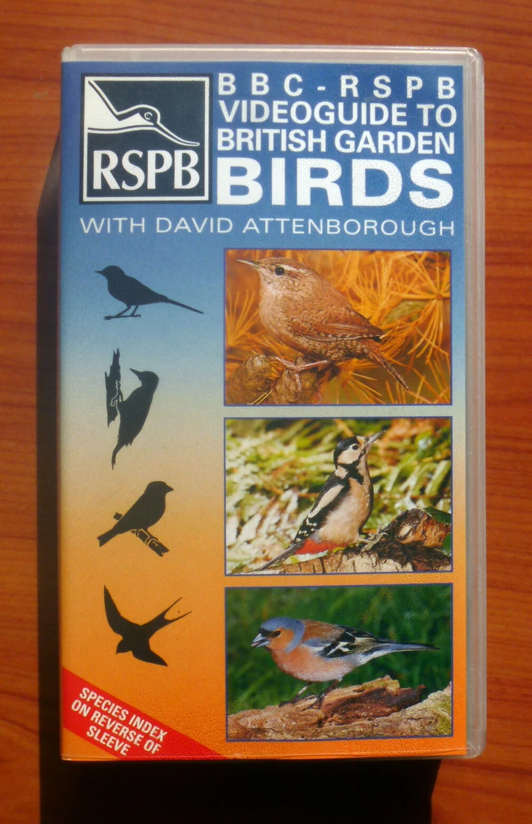 Rspb Garden Birds Poster | Fasci Garden